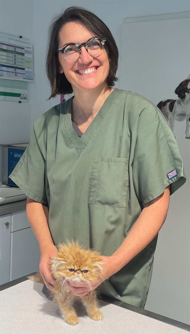 Ostéopathie - The Walking Dogs Center